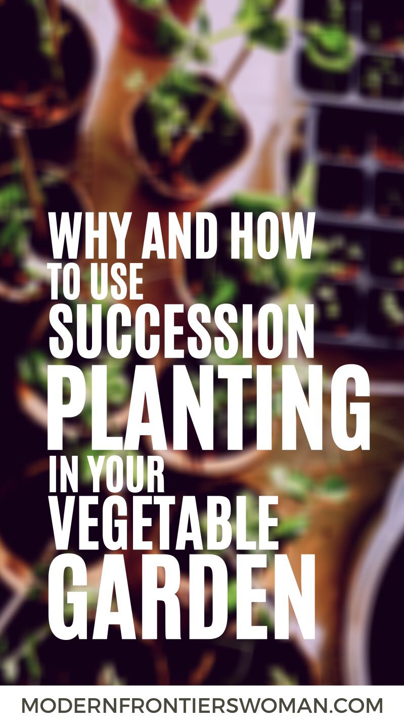 How to Make a Succession Garden Schedule | Modern Frontierswoman